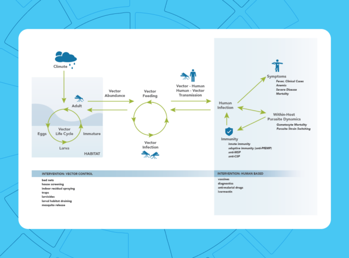 EMOD malaria - IDMOD